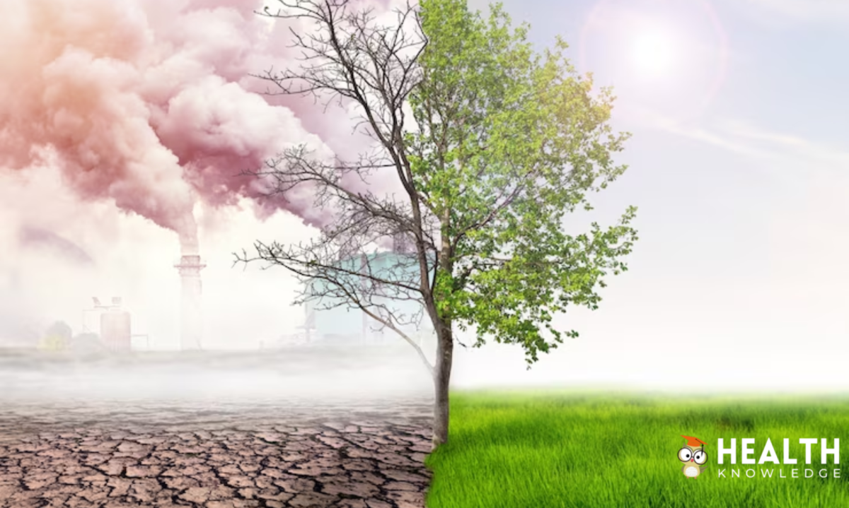 Understanding Environmental Health Risks: How the Environment Impacts ...